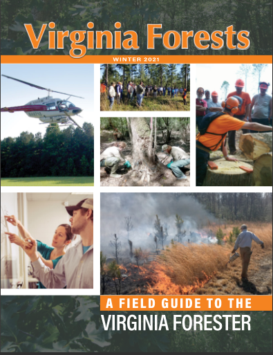 Virginia Forests Magazine